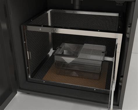 Rodent Auditory Brainstem Response Test Maze Engineers