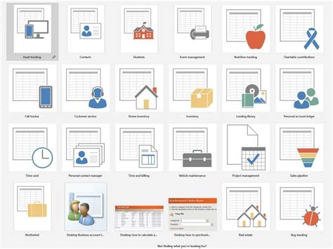 a custom designed microsoft access application with professional ui ux