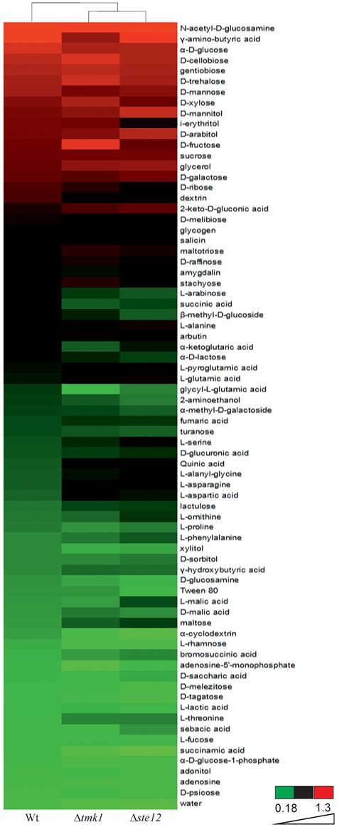 Comparative Carbon Source Utilization Profiles Of The Δste12 And Δtmk1 Download Scientific