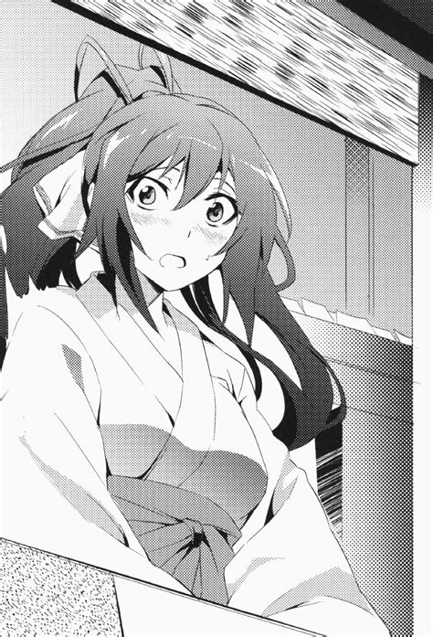 Infinite Stratos Houki Shinonono Minitokyo