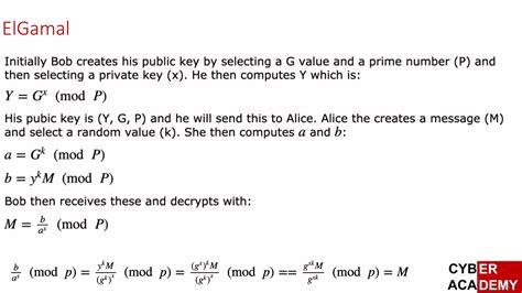 elgamal encryption in go pptx technology and computing