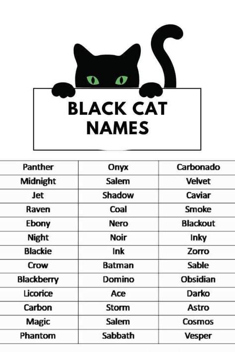 Creative Names For Your Black Cat