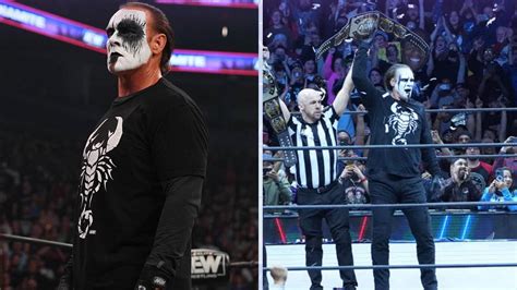 Veteran Says He Was Considered By Aew To Be A Part Of Stings Final