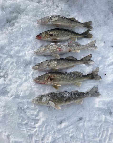 6 E48 E4 Ef 1336 4 E79 Ad48 534 B07 Cfc7 E0 — Postimages