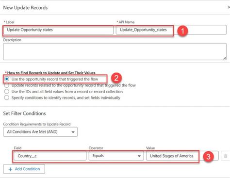 How To Update Picklist Multiselect Using Flow In Salesforce