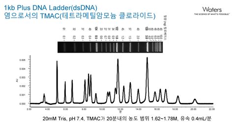 Waters에는 16 Kilobase Mrna의 분리를 위한 역상 Uplc Uhplc 또는 Hplc Method가 있습니까 Wkb236274 Waters Korea