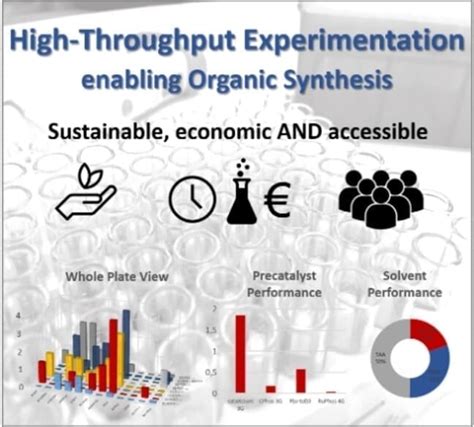 High Throughput Experimentation As An Accessible Technology For Academic Organic Chemists In
