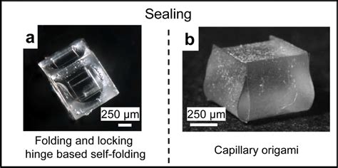 figure 5 from self folding polymeric containers for encapsulation and