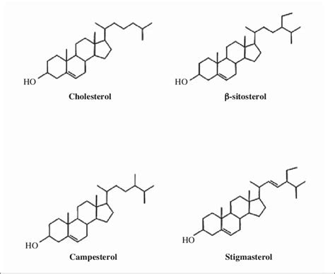 Cholesterol Lewis Dot Structure