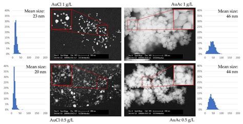 sem micrographs of aunps taken from filtered suspensions with