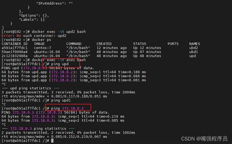 docker网络模式 与 搭建nginx docker nginx host csdn博客