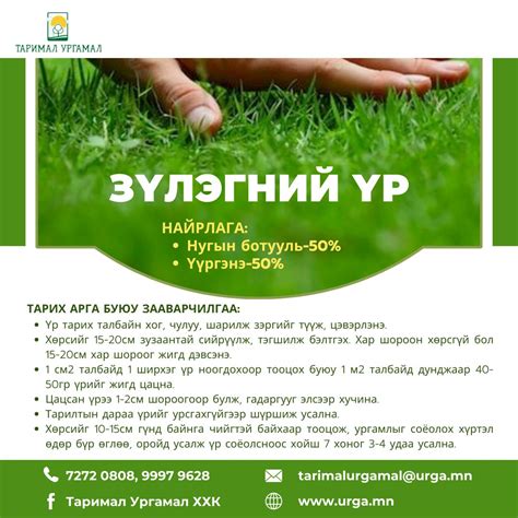 Таримлаа хамгаалъя Ulaanbaatar