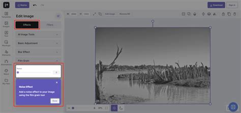 Add Noise To Image Online Free And Using Adobe Photoshop