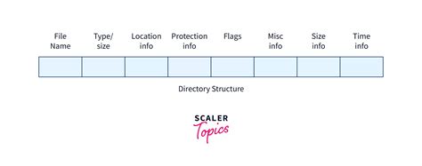Directory Structure In Os Scaler Topics