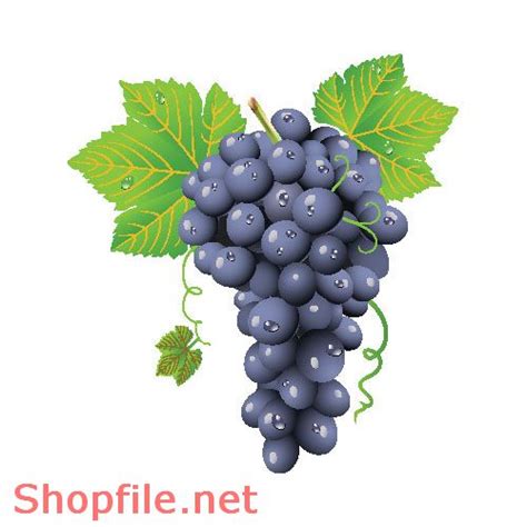 Hình Chùm Nho Ngon