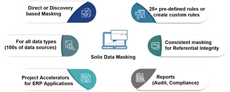 Solixcloud Data Masking Stop Data Breaches