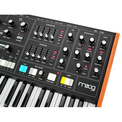 Moog Muse Thomann UK