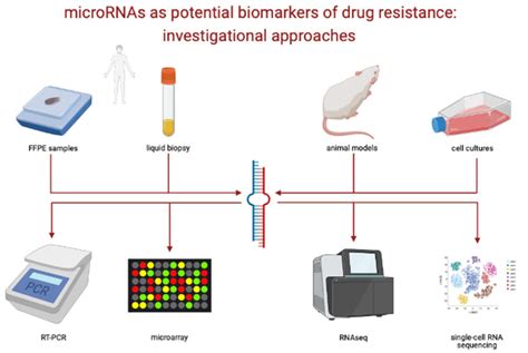 Investigational Approaches Of Mirnas As Potential Predictive