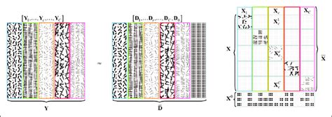 schematic diagram and notation of the proposed discriminative shared