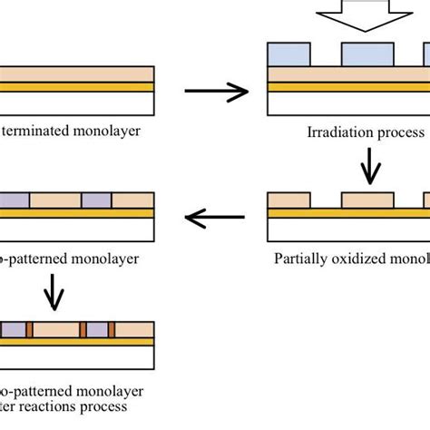 A Schematic Diagram For Preparing Micro Patterning Monolayer Under Uv
