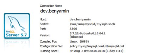 Slow Query Because Of Metadata And Cant Insert Update Delete 859 · Issue 3903 · Dbeaver