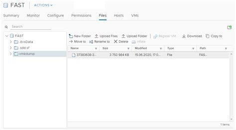 Удаление vmkdump файлов на хосте ESXi internet lab ru