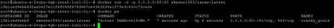 how can i use my docker dotnetcore app after running in a