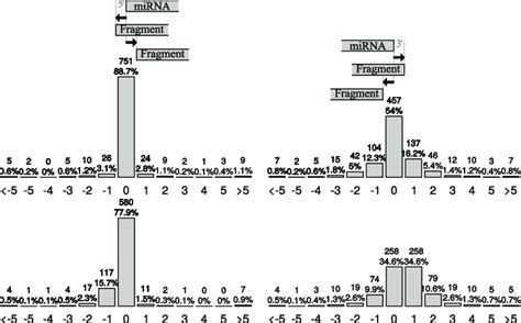 comparison between the predictions of mirbase 20 and flaimapper top