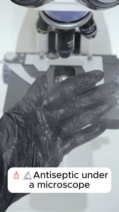 🧴🔬antiseptic Under A Microscope Youtube