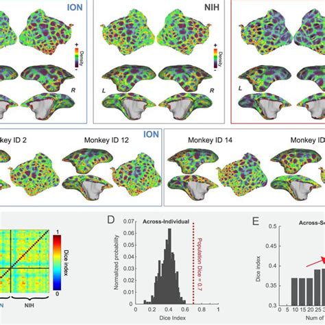 The Functional Connectivity Boundary Maps A The Population Based Download Scientific Diagram