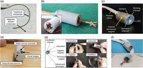 Magnetic Continuum Endoscopes A The Comparison Of The Soft‐tethered