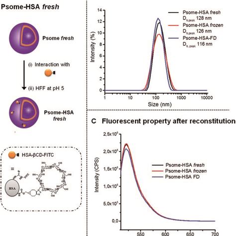 A Docking Events On The Surface Of Polymersomes Through The