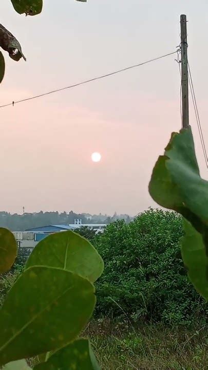 සුන්දර උදැසනක් සහා සවස් කලයක දසුන් 🦜🦜🌞 කලාතුරකින් හමුවන දසුනක් 🇱🇰 Trending Srilanka Subscribe