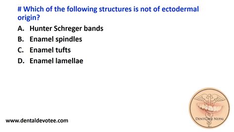 Which Of The Following Structures Is Not Of Ectodermal Origin