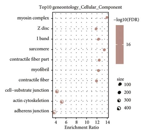 Detection And Functional Enrichment Analysis Of Degs A Top10