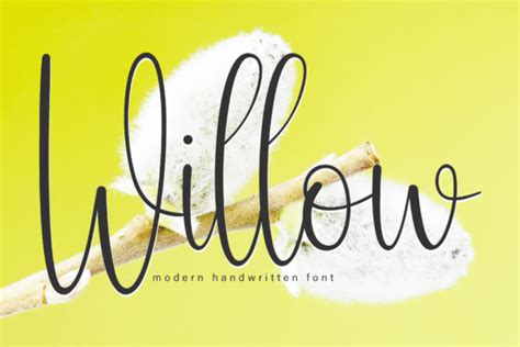 Willow Font By Pinkmeca · Creative Fabrica