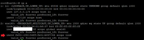 configure ipv6 on virtual machines located on host housed by scaleway
