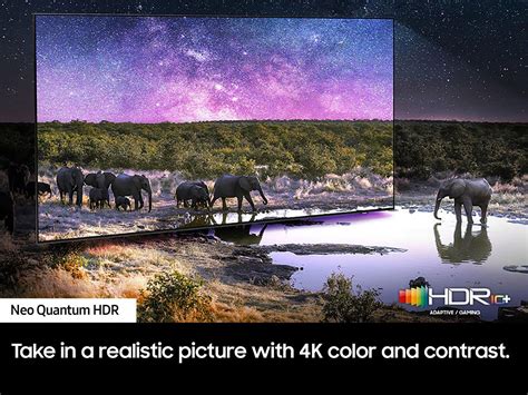 Lg Oled Evo C5 65 4k Tv 2025 Vs Samsung 65 Oled S90d Tv Comparison