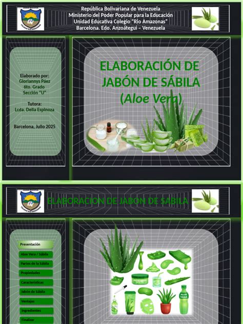 Jabón De Sábila Beneficios Y Elaboración Pdf Jabón