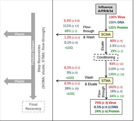 Downstream Processing Of Influenza Virus Max Planck Institute For Dynamics Of Complex