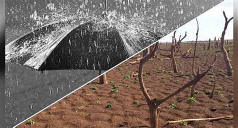 Rain In Drought Trish Kerry Belchambers Medium