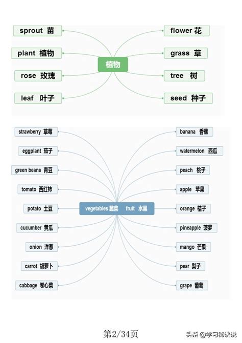 這媽媽是天才!自製34張英語單詞思維導圖,孩子一周背完6年詞彙 每日頭條 這媽媽是天才!自製34張英語單詞思維導圖,孩子一周背完6年詞彙 每日頭條