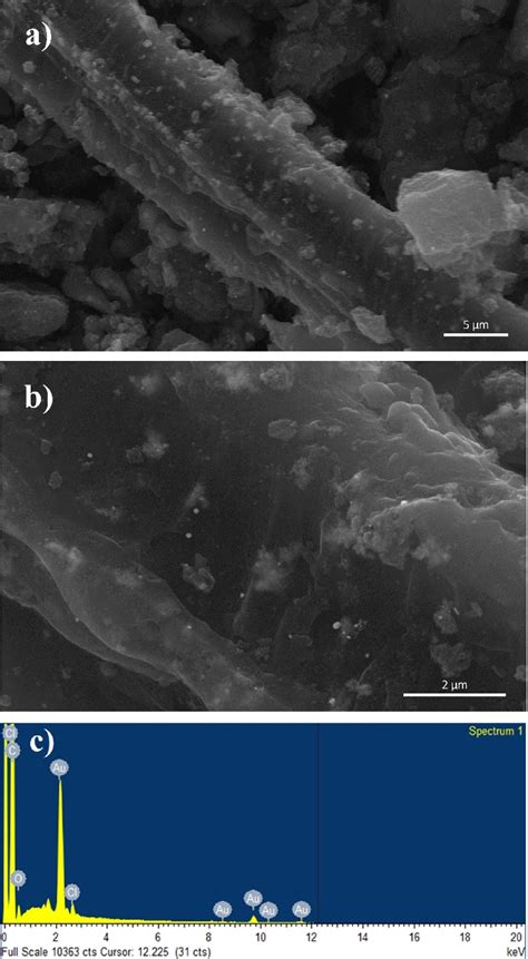 SEM Images A And B And EDX Spectra C Of The Au Nanoparticles Download Scientific