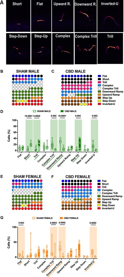 Call Type Profile Is Altered In A Sex Specific Manner In CBD Exposed Download Scientific