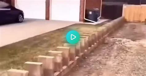 What Is Happening On The Reverse Sequence Album On Imgur