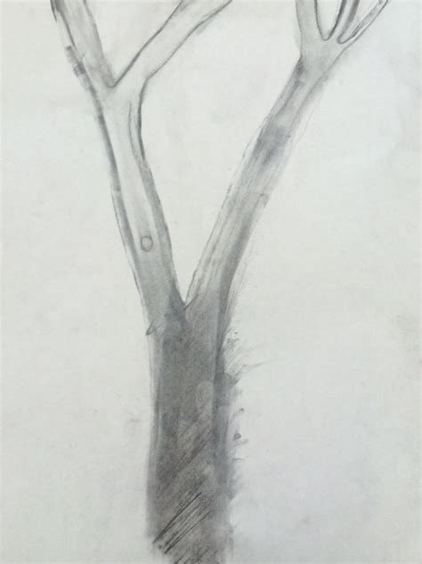 Pin By Nicole Zahour On Charcoal Trees Babes Work Camping Art Summer Art Sketches