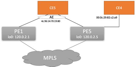 EVPN Type Ethernet Segment Route Explained BGP Help