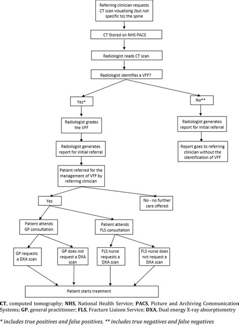 Standard Care Pathway For Vertebral Fragility Fracture Vff Download Scientific Diagram