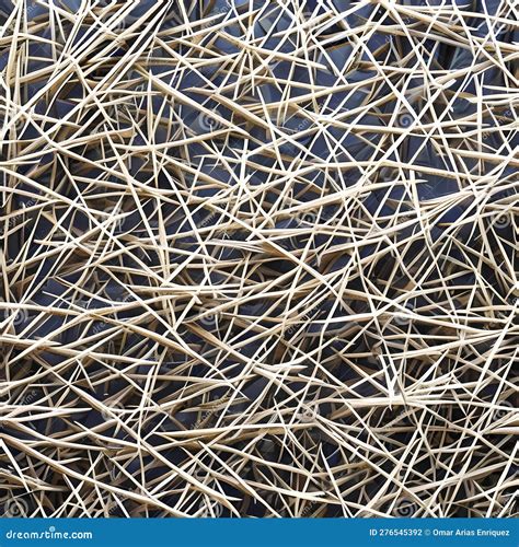 Spiky Barbed Wire Symbol Of Boundary Or Security Vector Design Generative Ai Cartoondealer