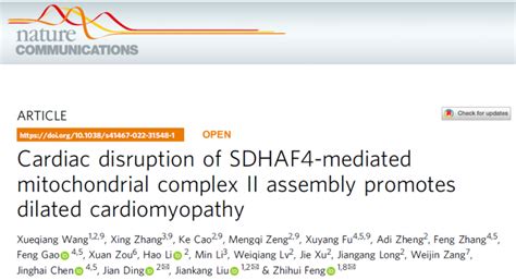 客户案例 Nc：线粒体复合体Ⅱ组装在扩张型心肌病发生中的重要机制 肿瘤细胞 氨基酸代谢 非靶向代谢 脂质 多组学代谢流检测分析 脂肪酸定量